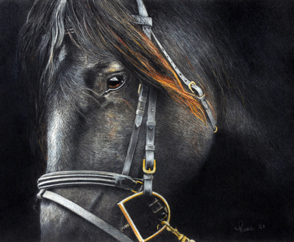 Barbara Hess - Official Website